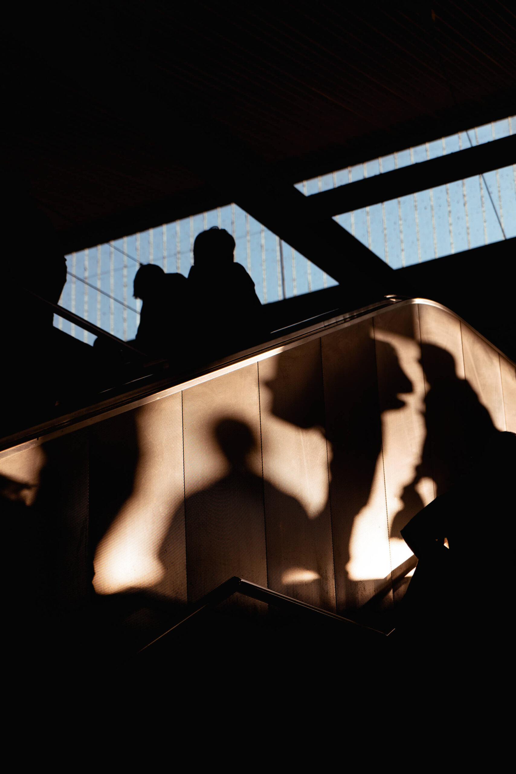 Find Your Contrast In Photography | Fedor Vasilev Photographer In Vienna