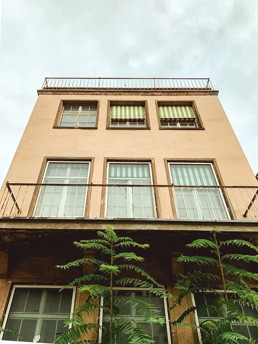 Ultimate Guide On How To Take Photos With A Phone - Fedor Vasilev ...