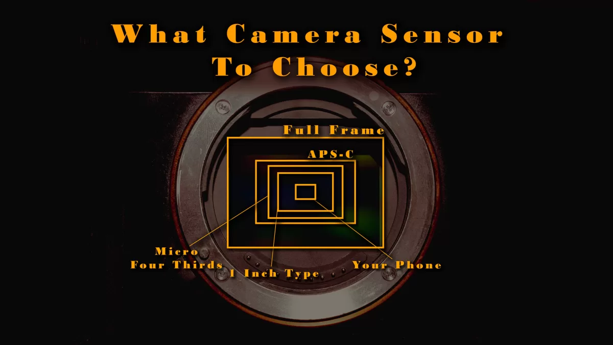 Which Camera Sensor Do You Need? - Fedor Vasilev Photographer In Vienna