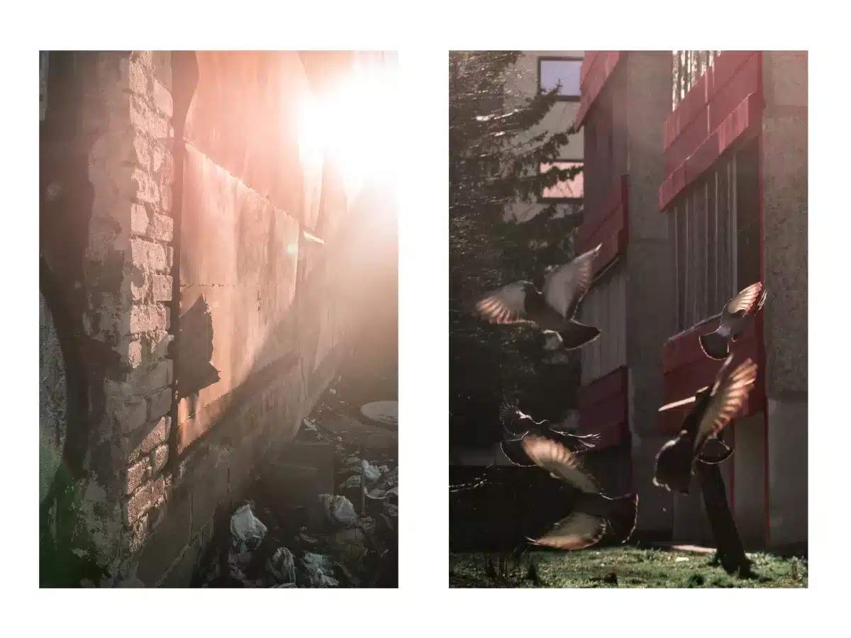 Diptychs In Photography. A Great Way To Train Your Creativity - Fedor ...