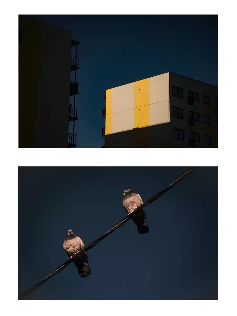 Diptychs In Photography. A Great Way To Train Your Creativity - Fedor ...