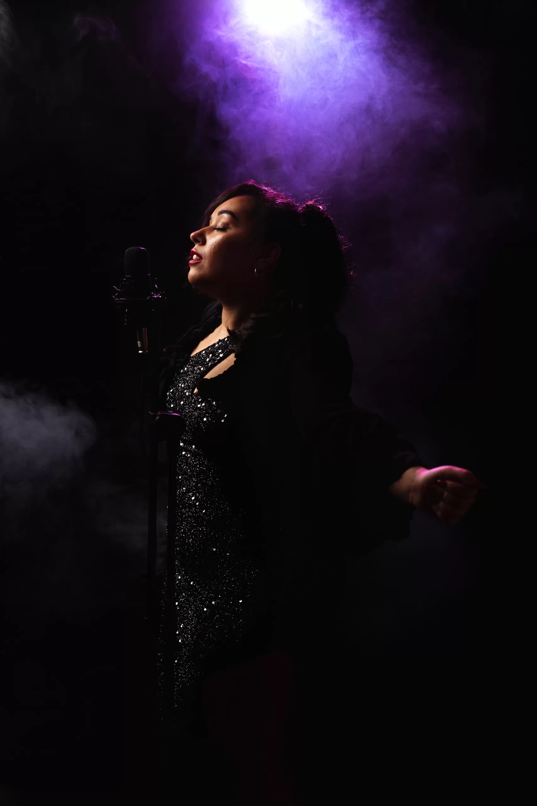 Music Photography In Vienna - Fedor Vasilev Photographer In Vienna
