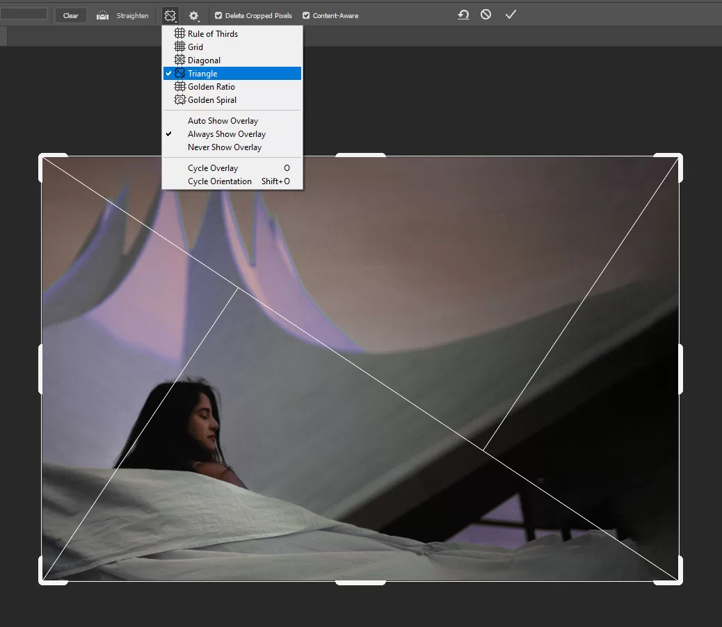How To Use The Golden Triangle Rule In Photography To Transform Your ...